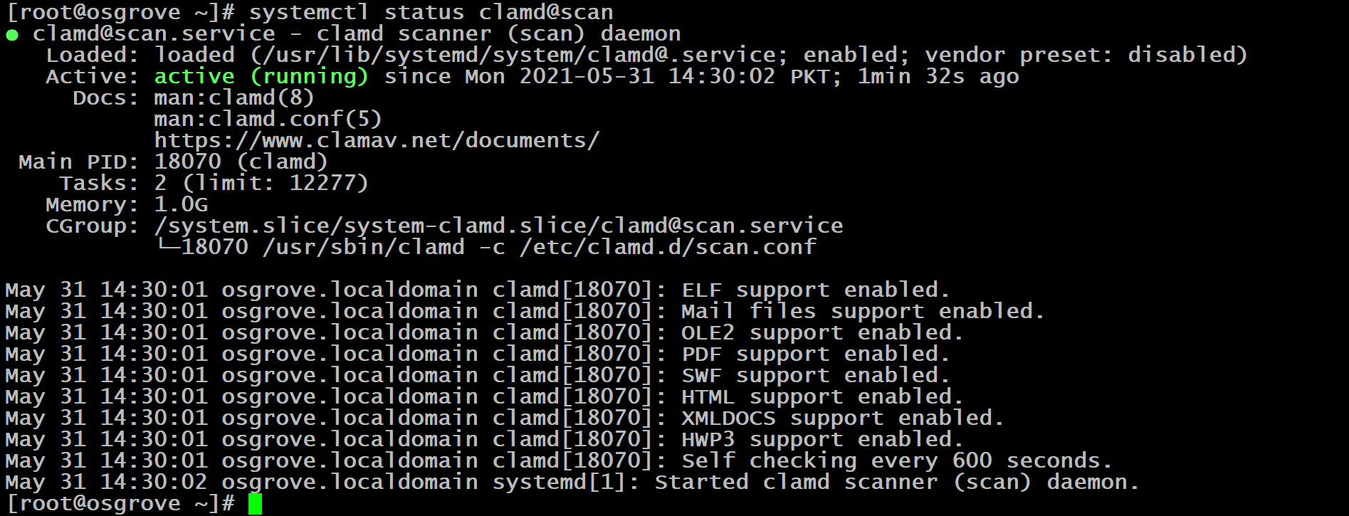 Install and configure ClamAV in Linux – Osgrove
