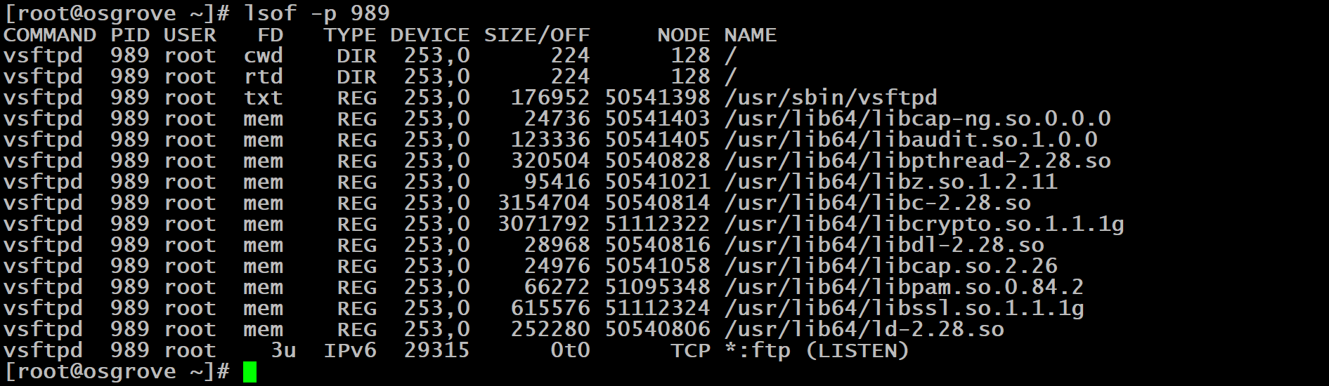 Use of lsof Command in Linux – Osgrove